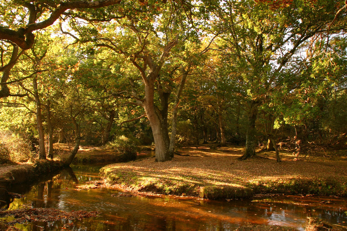 6 reasons to book an autumn break at Back of Beyond - Back of Beyond ...